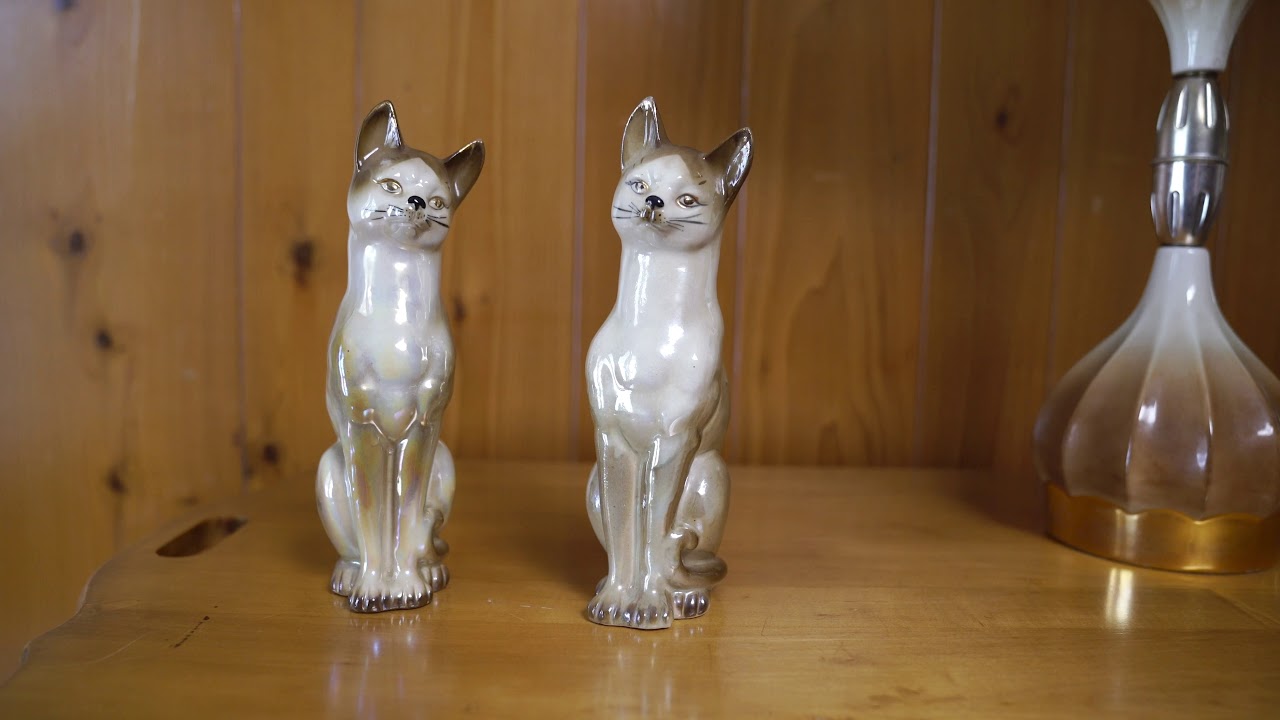 Ashley McBryde - Shut Up Sheila (Visualizer) - YouTube Music