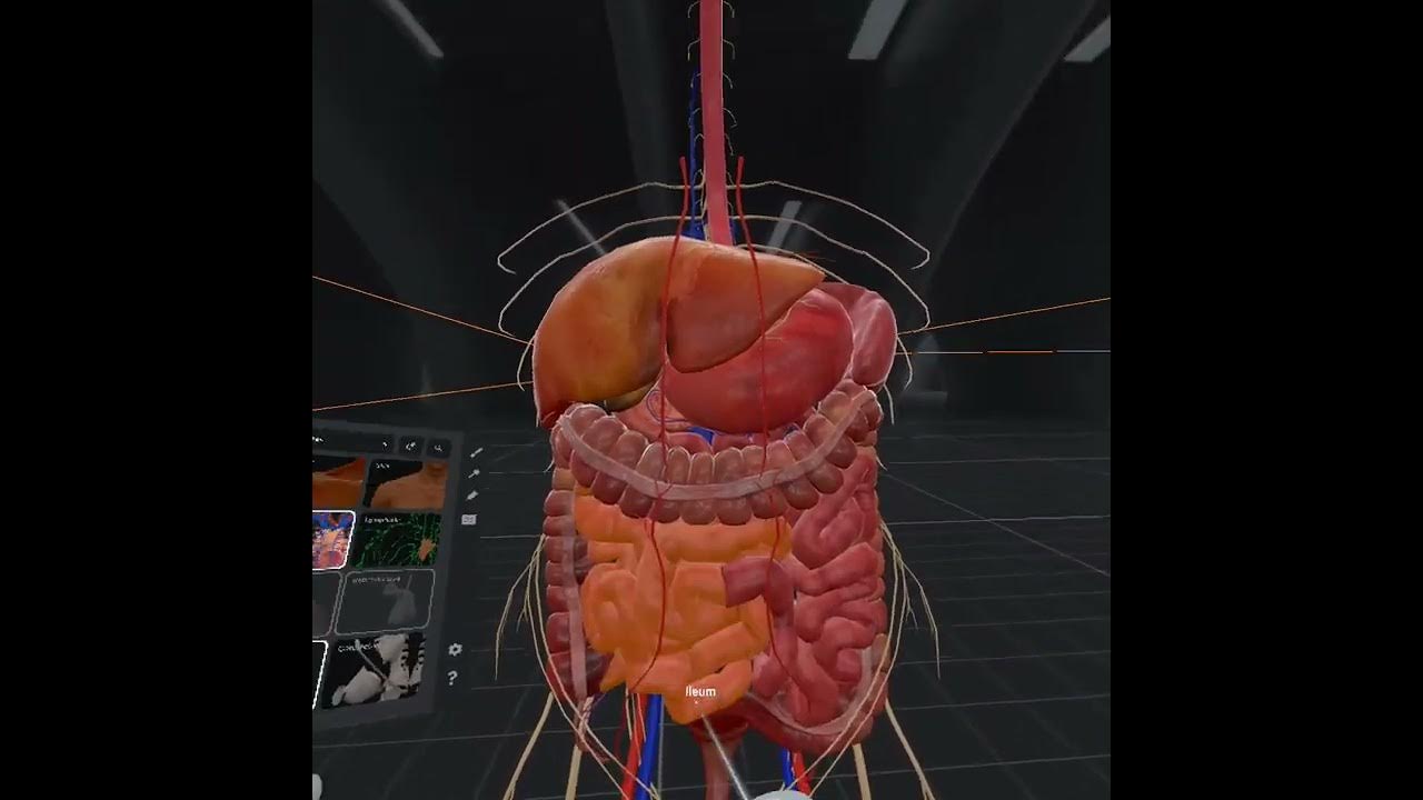 BodyMap - Powerful VR Anatomy Learning and Training Platform - YouTube