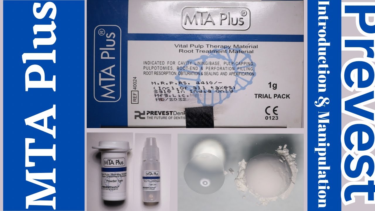 MTA Plus ⚪️ INTRODUCTION & MANIPULATION 🔵 Prevest Denpro - YouTube