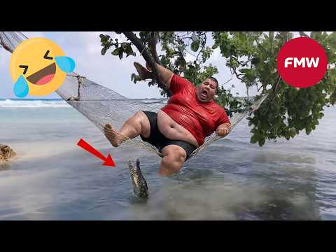 Try Not To Laugh 🤣 Top 100 Funniest Videos Ever 😂 | Funny Videos Compilation 2026 #126