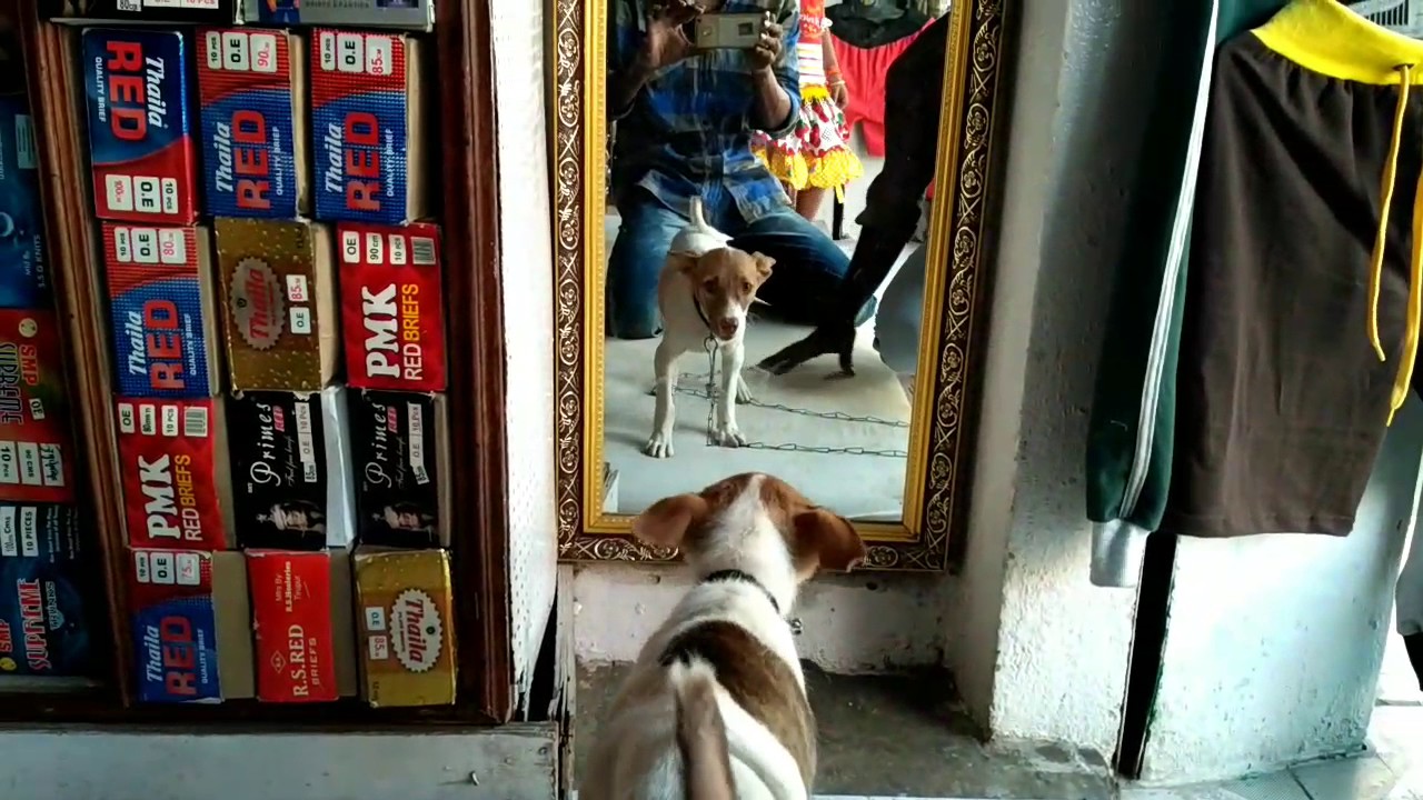 Bcm videos.RP. comedy spoof. - YouTube