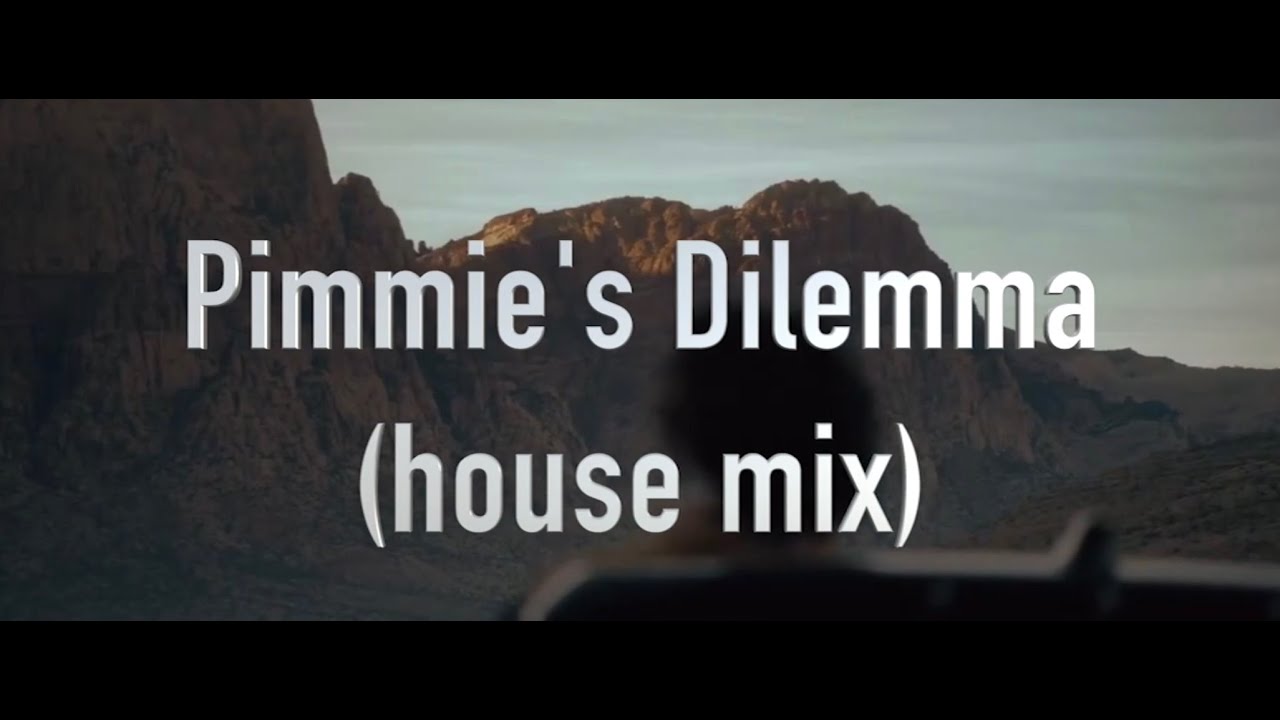 Drake - PIMMIE'S DILEMMA (house mix) | $$$4U - YouTube