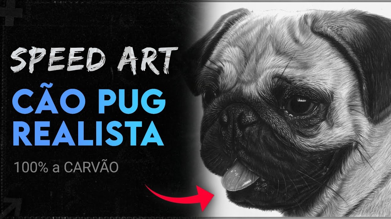 Speed Art Cachorro da Raça Pug - Pet Realista a Carvão - YouTube