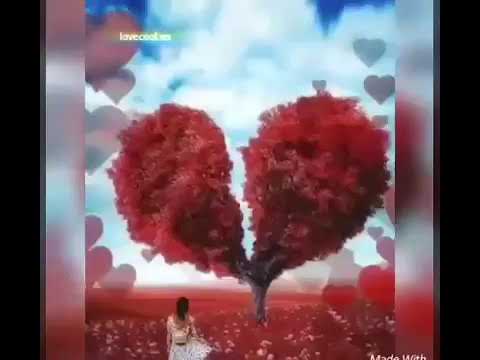 Whatsapp durum videolari