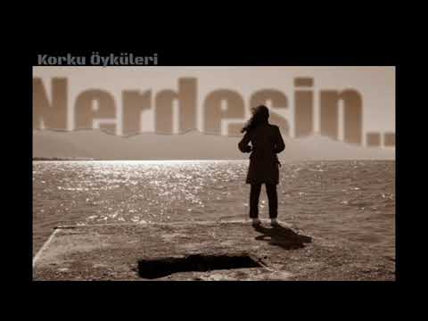 ŞİİR - NERDESİN - FERHAT TUNÇ - SESLENDİREN YALÇIN ALTIN