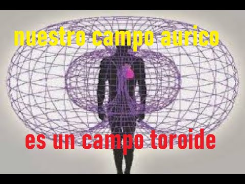 {{CAMPO AURICO}} {{CAMPO TOROIDE}} es UNA MISMA NATURALEZA -2- - YouTube