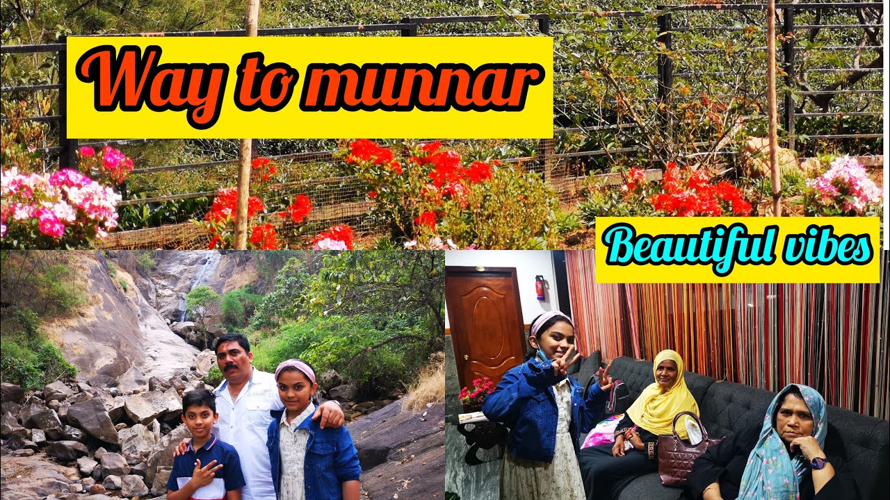 Way to munnar from wagamon | Travel vlog | Gurubhavan inn | homely food ...