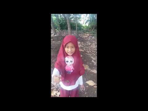 Lomba Bernyanyi\