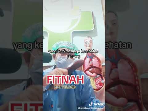 manfaat terong panjang besar untuk lelaki dan perempuan #herbalmedicine