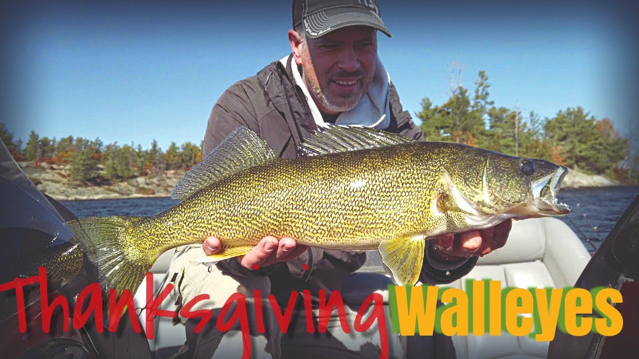 Fall Walleyes on the French River - YouTube