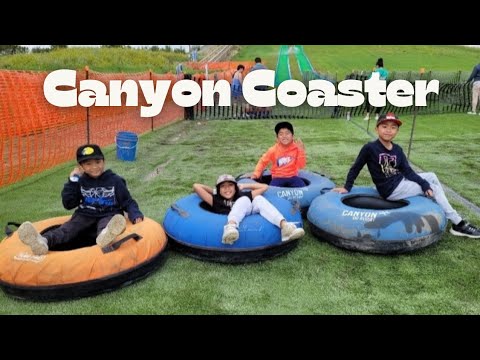 Red Deer | Canyon Coaster - YouTube