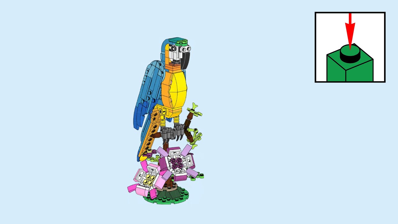LEGO Creator 3-in-1 31136, Exotic Parrot - building instructions - YouTube