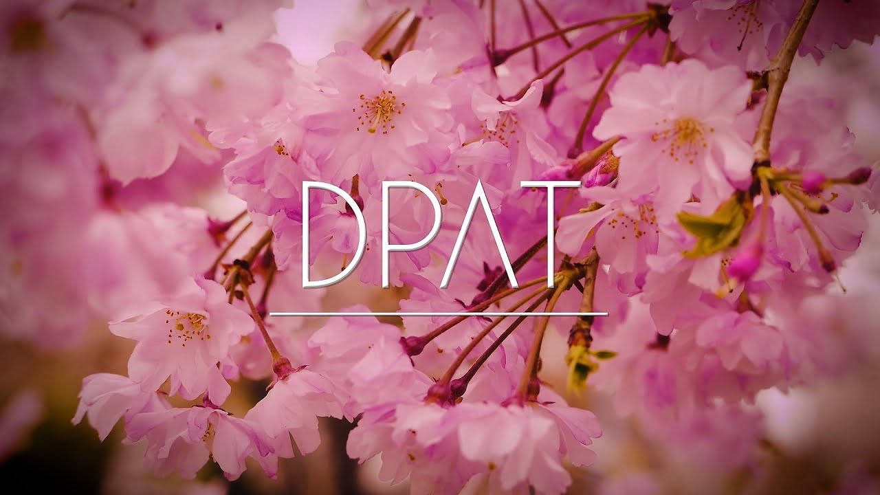 DPAT - CLIP - YouTube