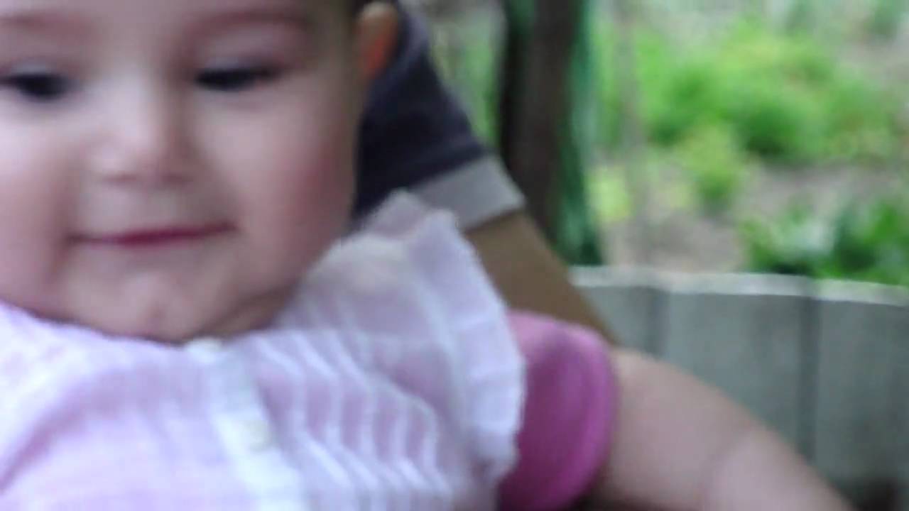 alex si rex - YouTube