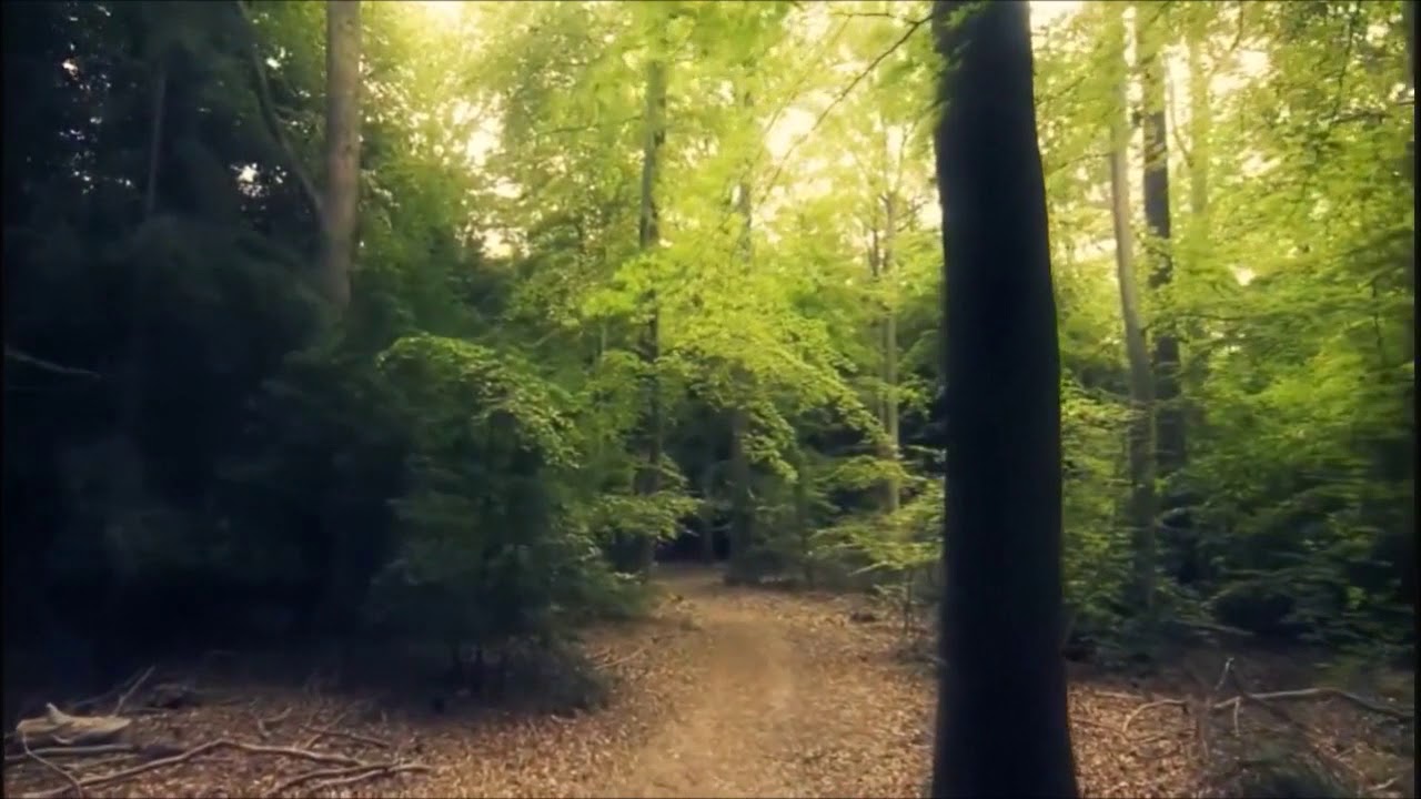 Nightnoise - Something Of Time - YouTube