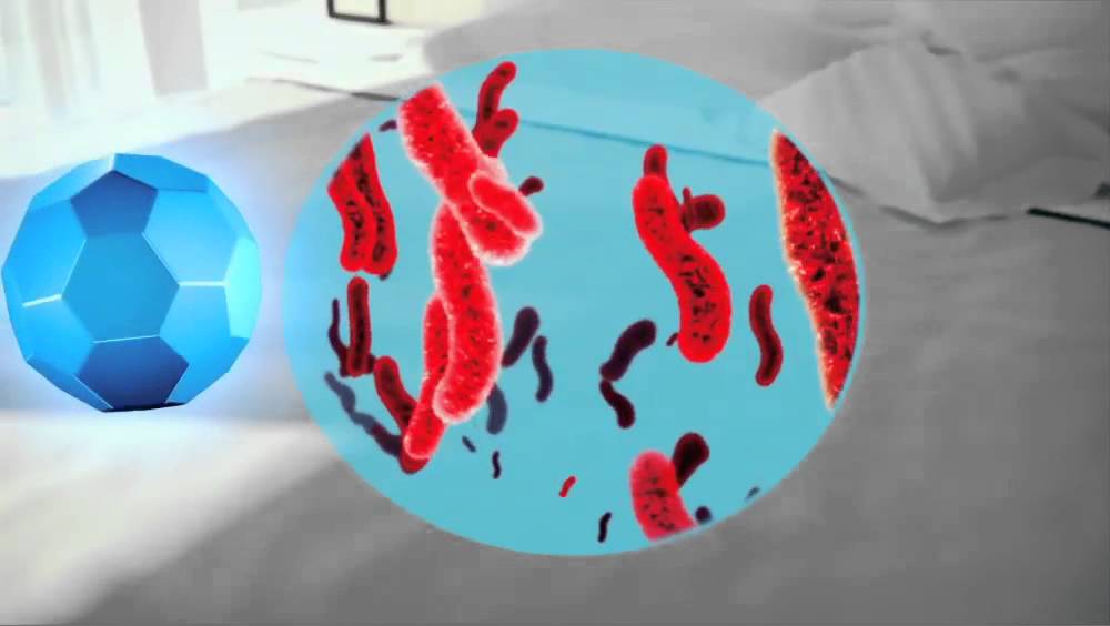 Puradigm Introduction Zone Video - YouTube