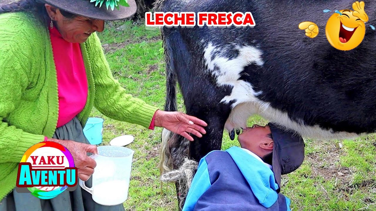 APRENDIENDO a SACAR LECHE y QUESO en el CAMPO - YouTube