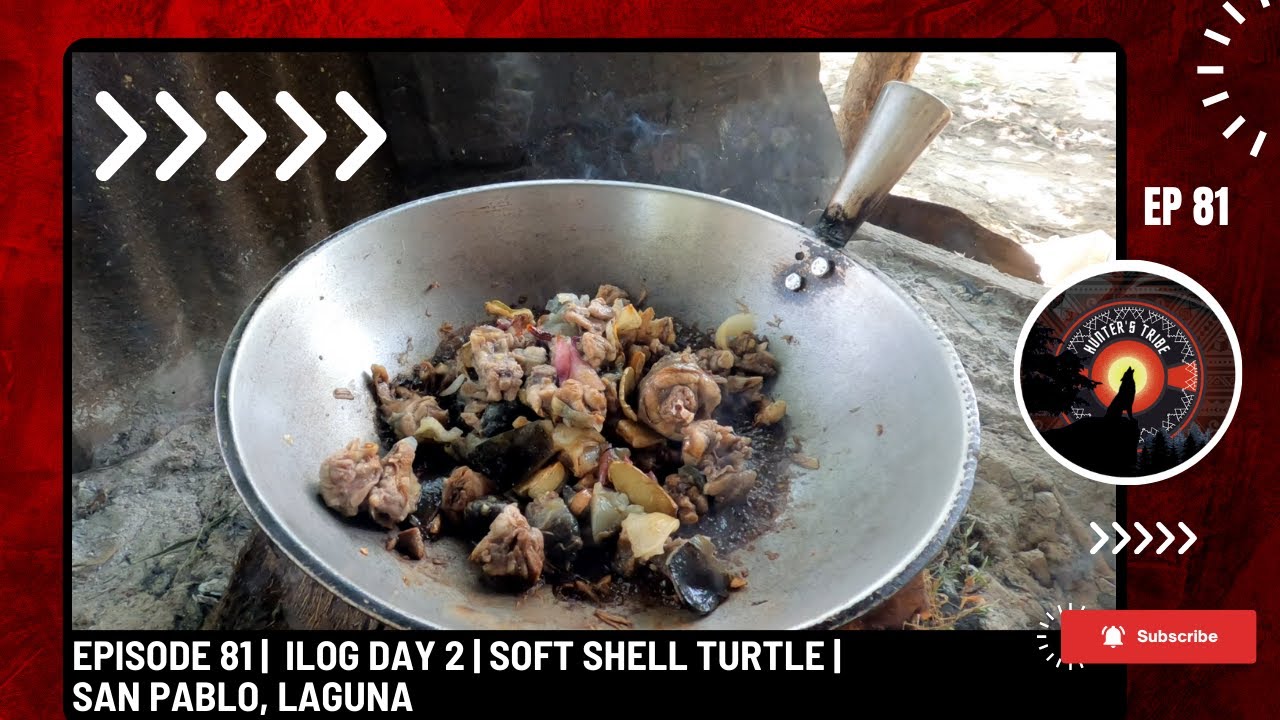 EPISODE 81 | ILOG DAY 2 | SOFT SHELL TURTLE | SAN PABLO, LAGUNA - YouTube