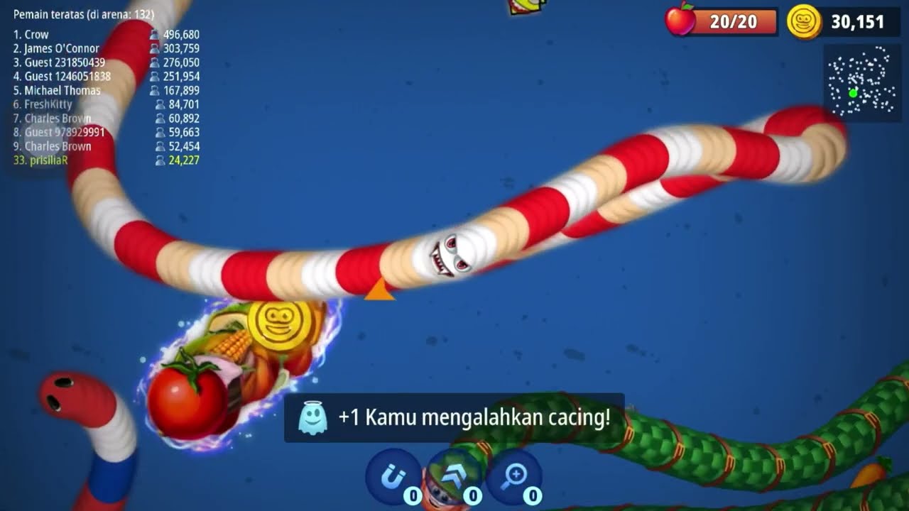 Cacing alaska rank 25 bobot 28,165 - YouTube