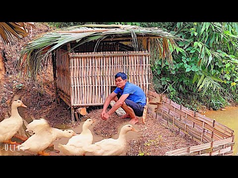 Build a duck barn for the farm..... - YouTube