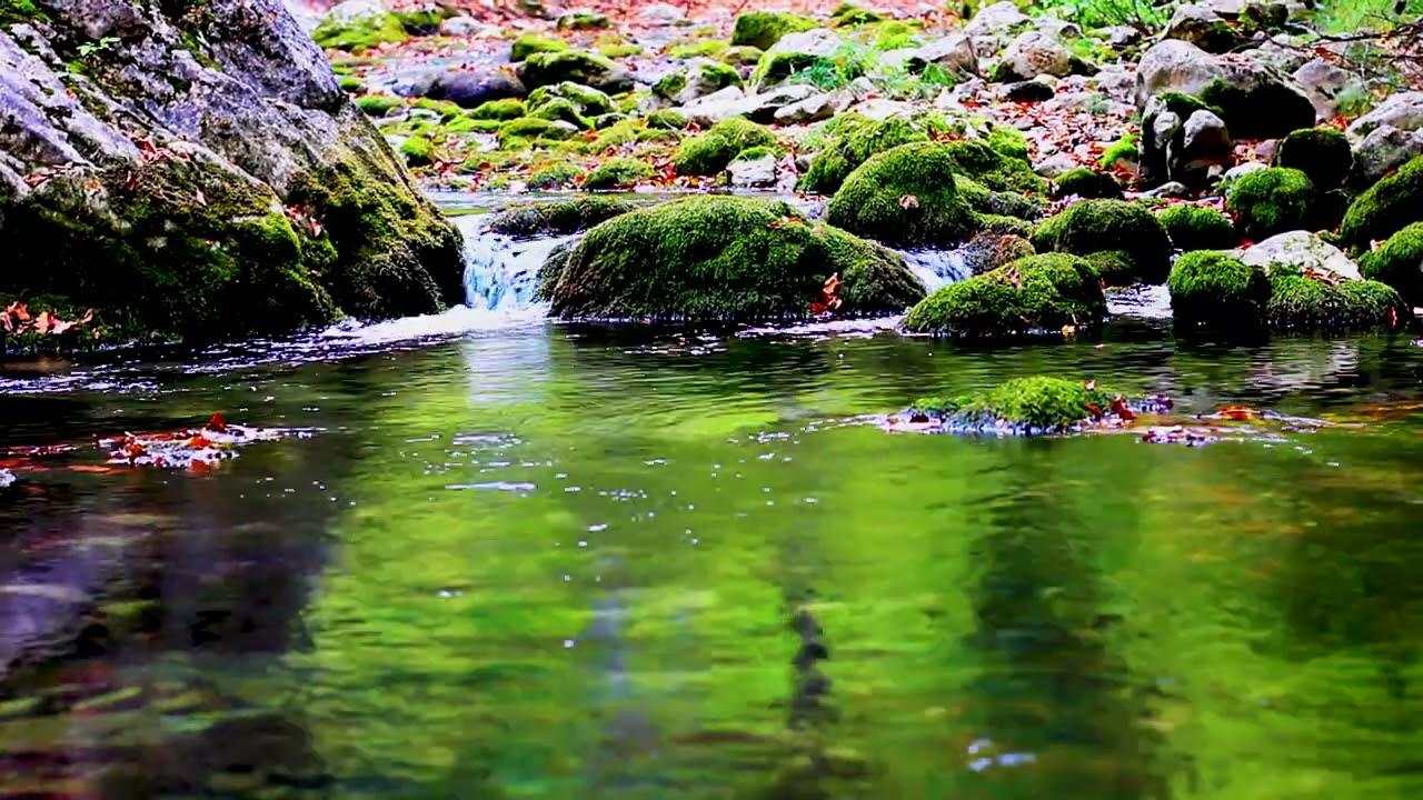 Calming Water Stream and Rock. Small Waterfall and River. (10 hours ...