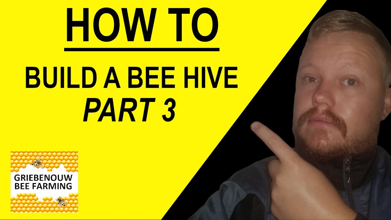 How to build a bee hive - Part 3 - YouTube