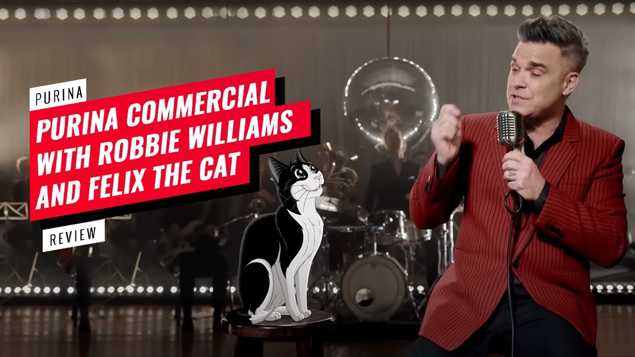 ANUNCIO de PURINA con ROBBIE WILLIAMS y el GATO FELIX [2023] - YouTube