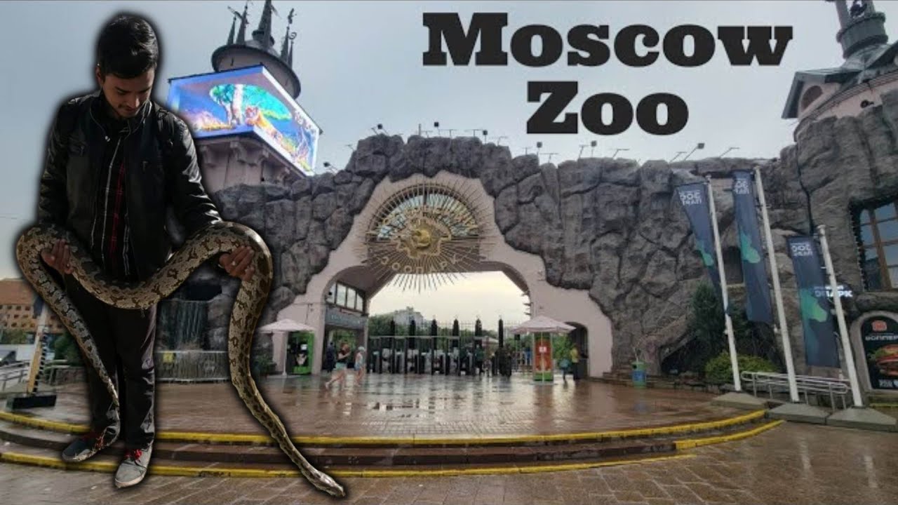 Moscow Zoo| Zoo in Russia| Zoopark| зоопарк | A tour around beautiful ...