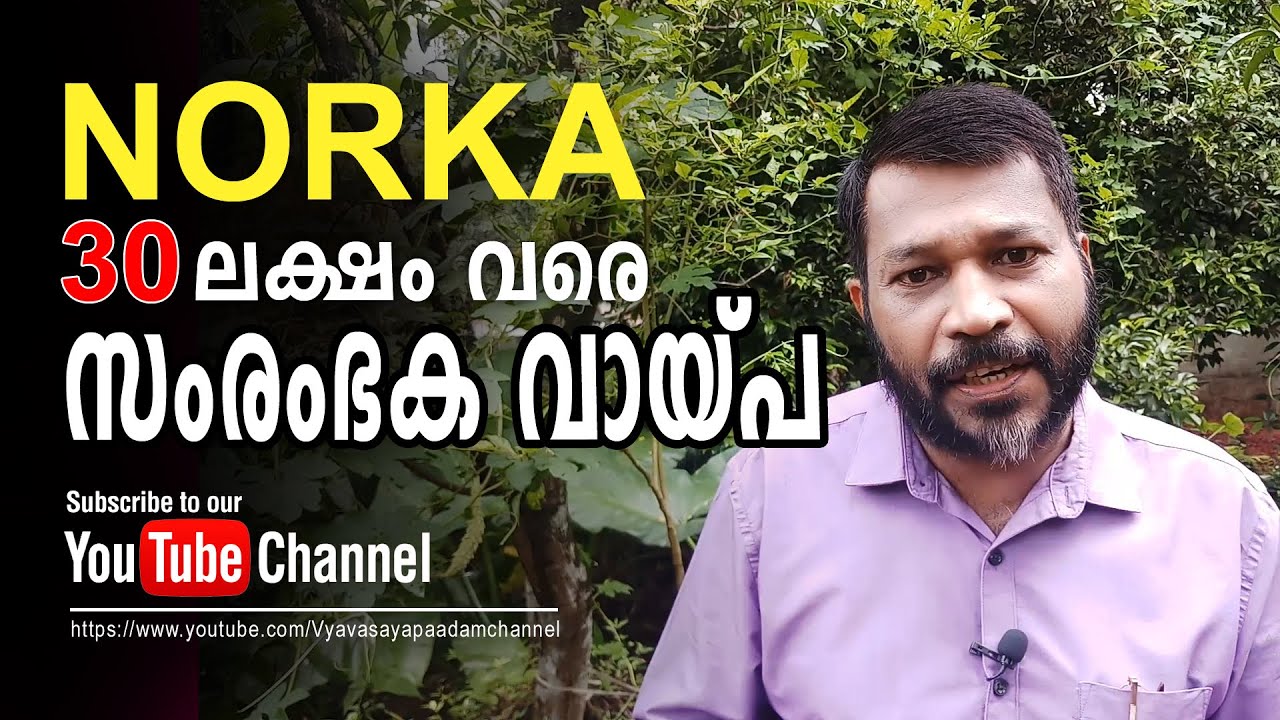 NORKA ROOTS Loan up to 30 lakhs - YouTube