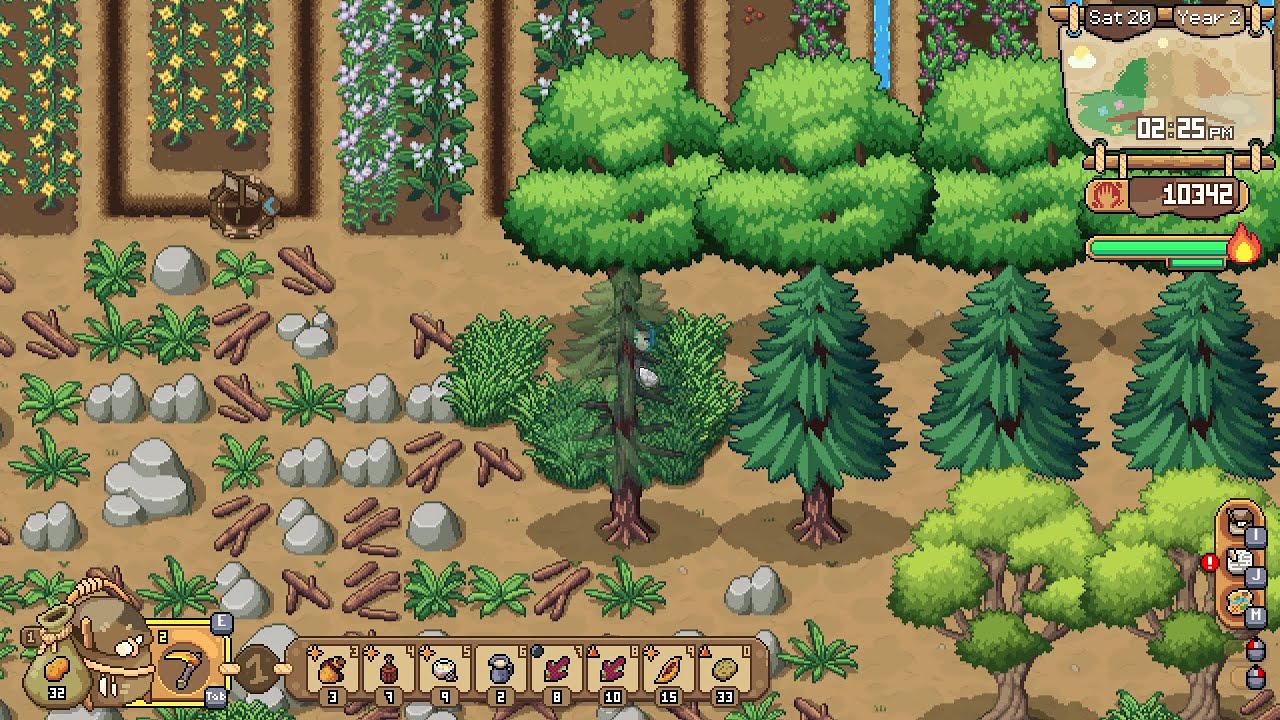 Roots of Pacha-We have trees! - YouTube