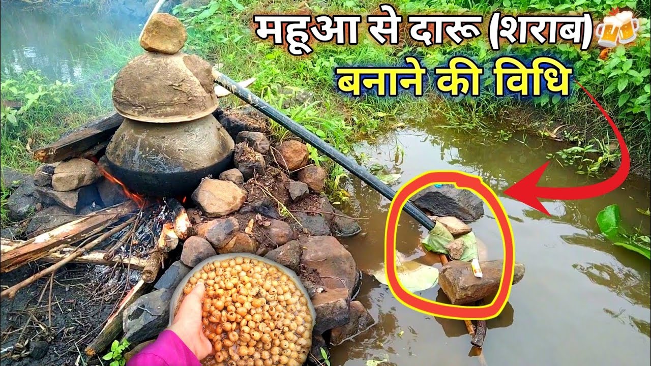 How To Make Desi Daru || आदिवासी गांव में महुवे से देशी दारू शराब बनाने ...