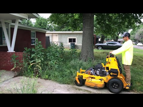 Super tall lawn mowing and edging transformation - YouTube