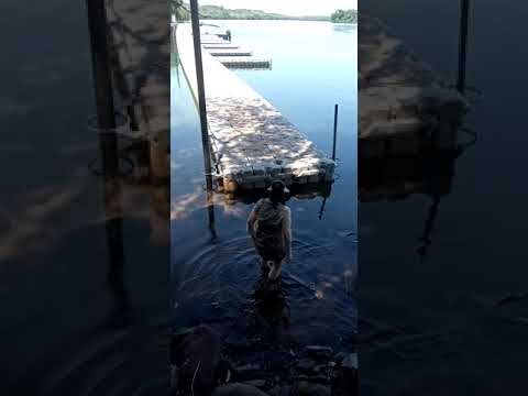 O bêbado caiu no rio