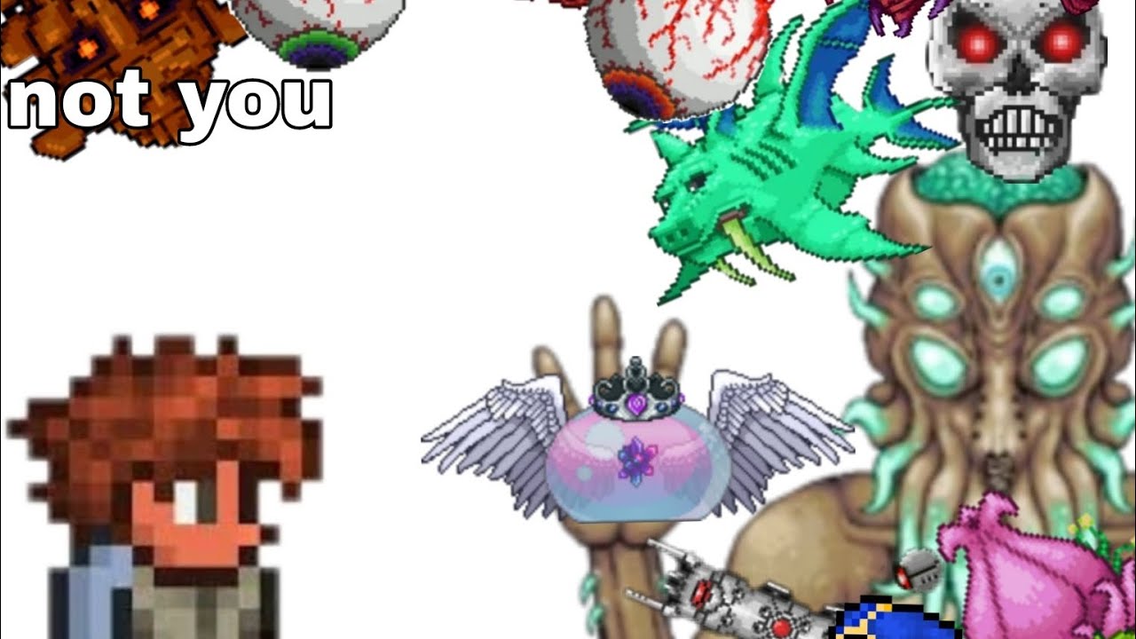 The Expert Hardmode Experience | Terraria - YouTube