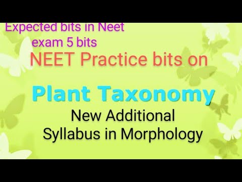Plant taxonomy New syllabus bits in morphology#neet #botany #ksprasad ...