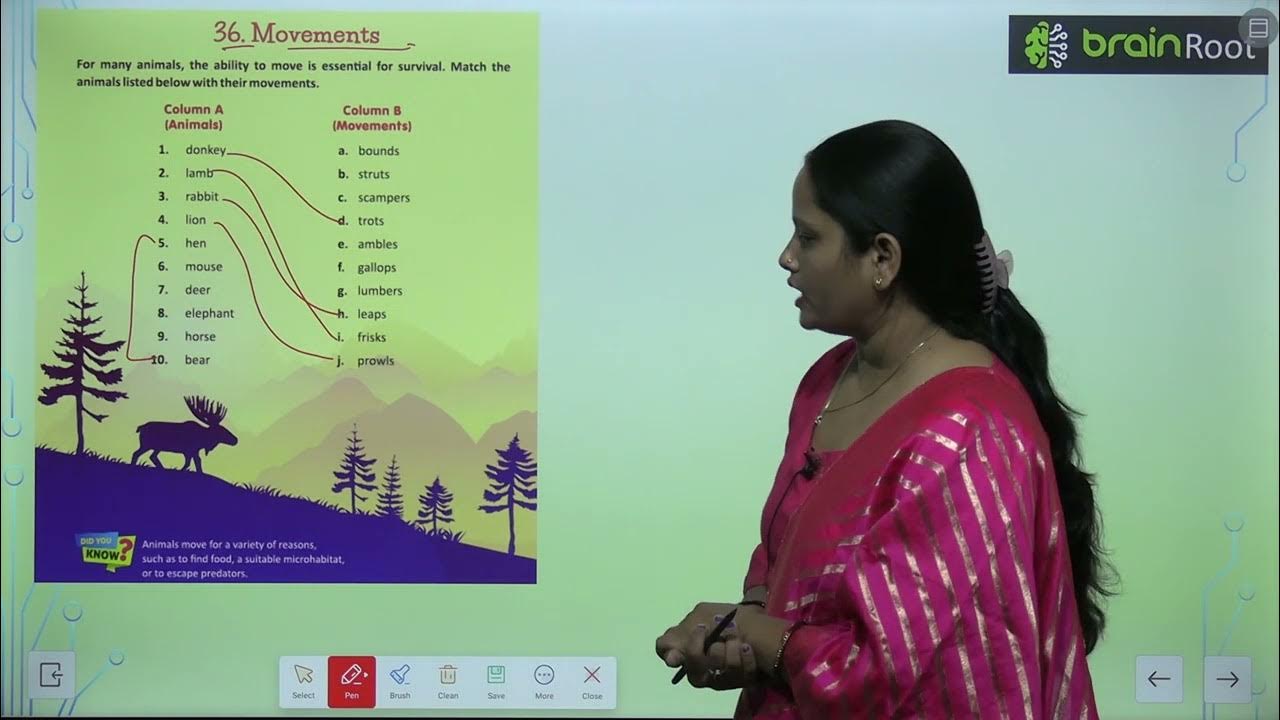 Brain Root Class 3 Chapter 36 Movements - YouTube