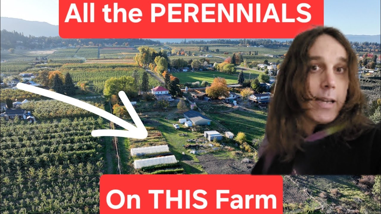 Perennials of the Red Roof Flower Farm Tour - YouTube