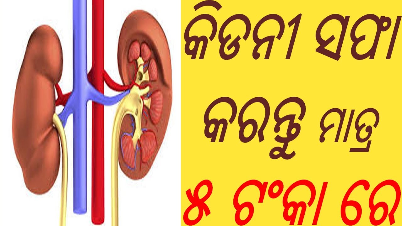 Kidney Ku Safa Karantu Matra 5 Tanka re - YouTube