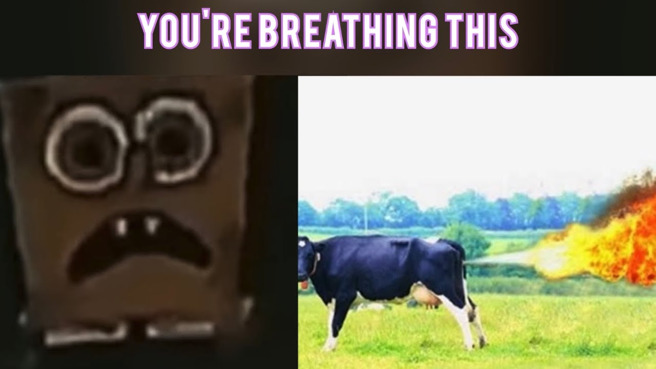 SpongeBob Becoming Uncanny (You’re Breathing This) - YouTube