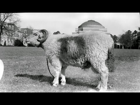 ORIGINAL FILM 1940 Duke University Fraternity Prank Pi Kappa Phi UNC Mascot RAM