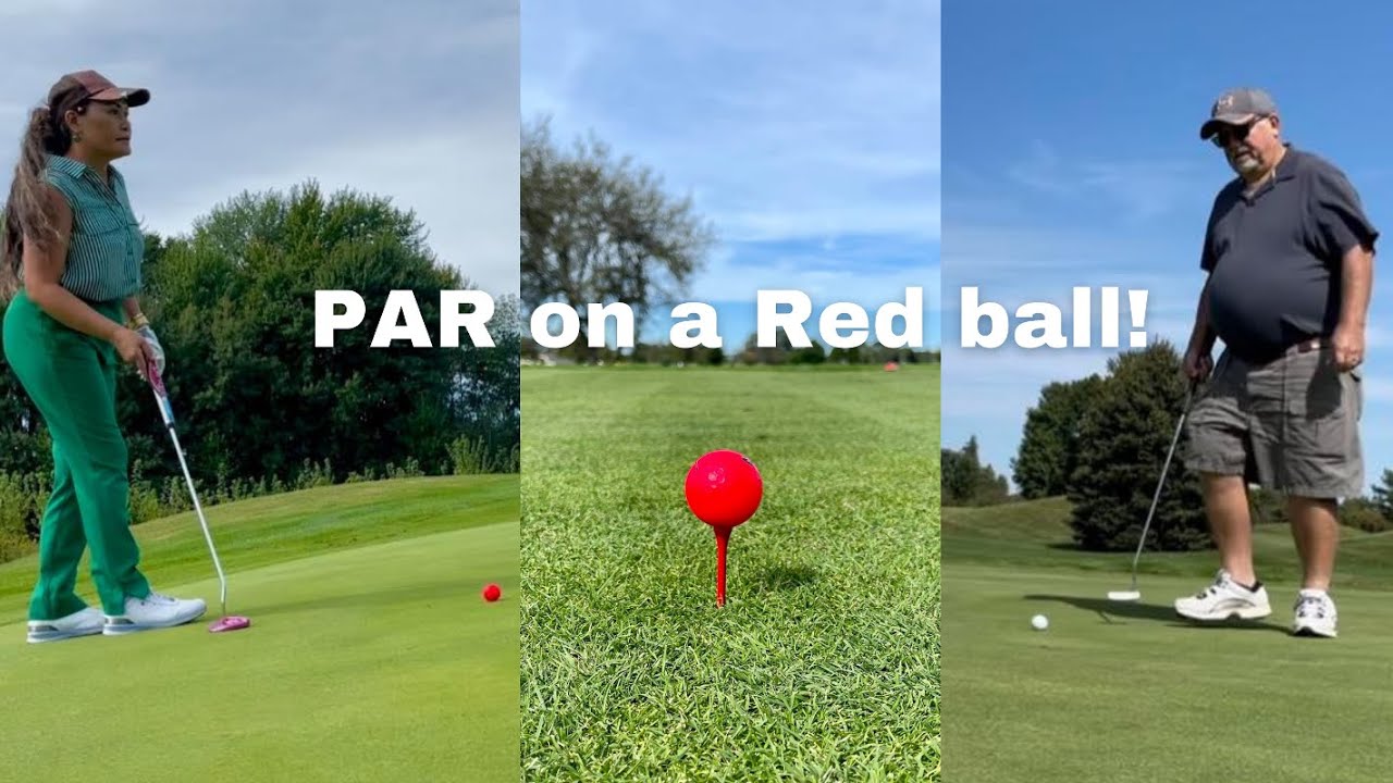 PAR !!! MOSS RIDGE GOLF COURSE ,Ravenna, Michigan, USA - YouTube
