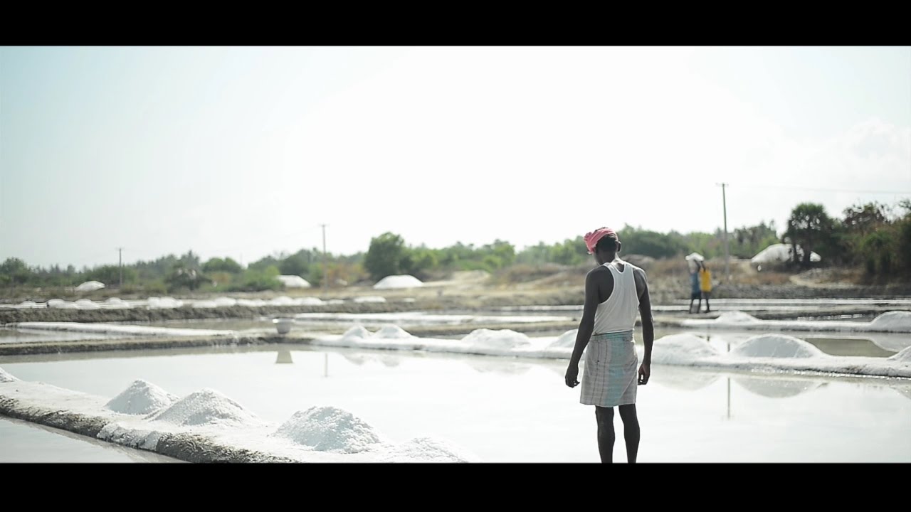 Behind The Taste - Life in salt pans of Marakkanam - Documentary 2017 ...