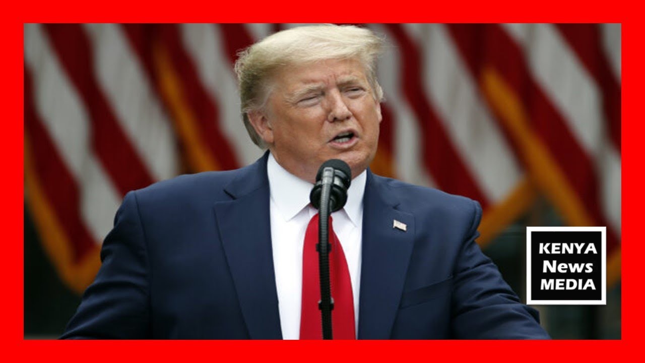 President Donald Trump vs Media reporters on November elections - YouTube