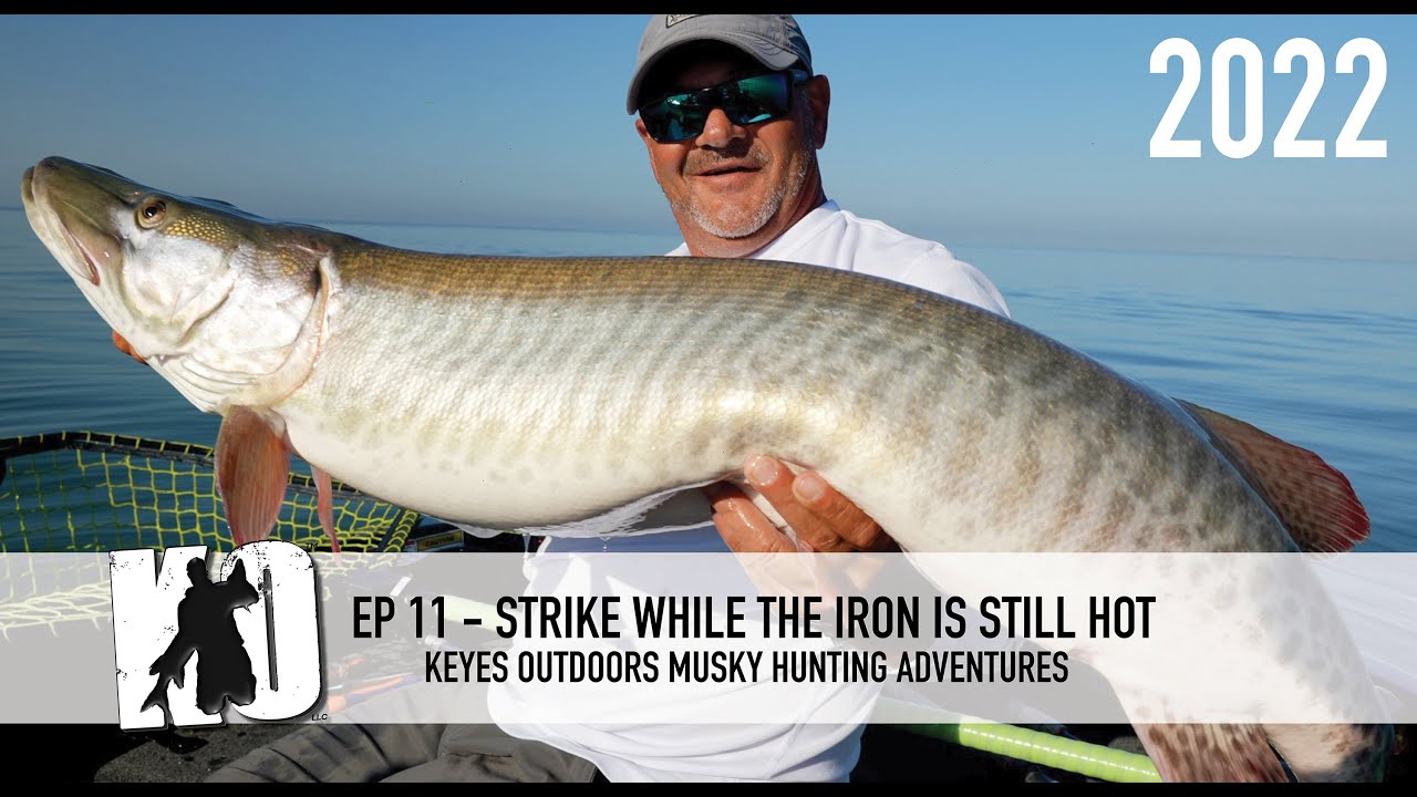 STRIKE While the MUSKIE-Iron is HOT - Keyes Outdoors Musky Hunting ...