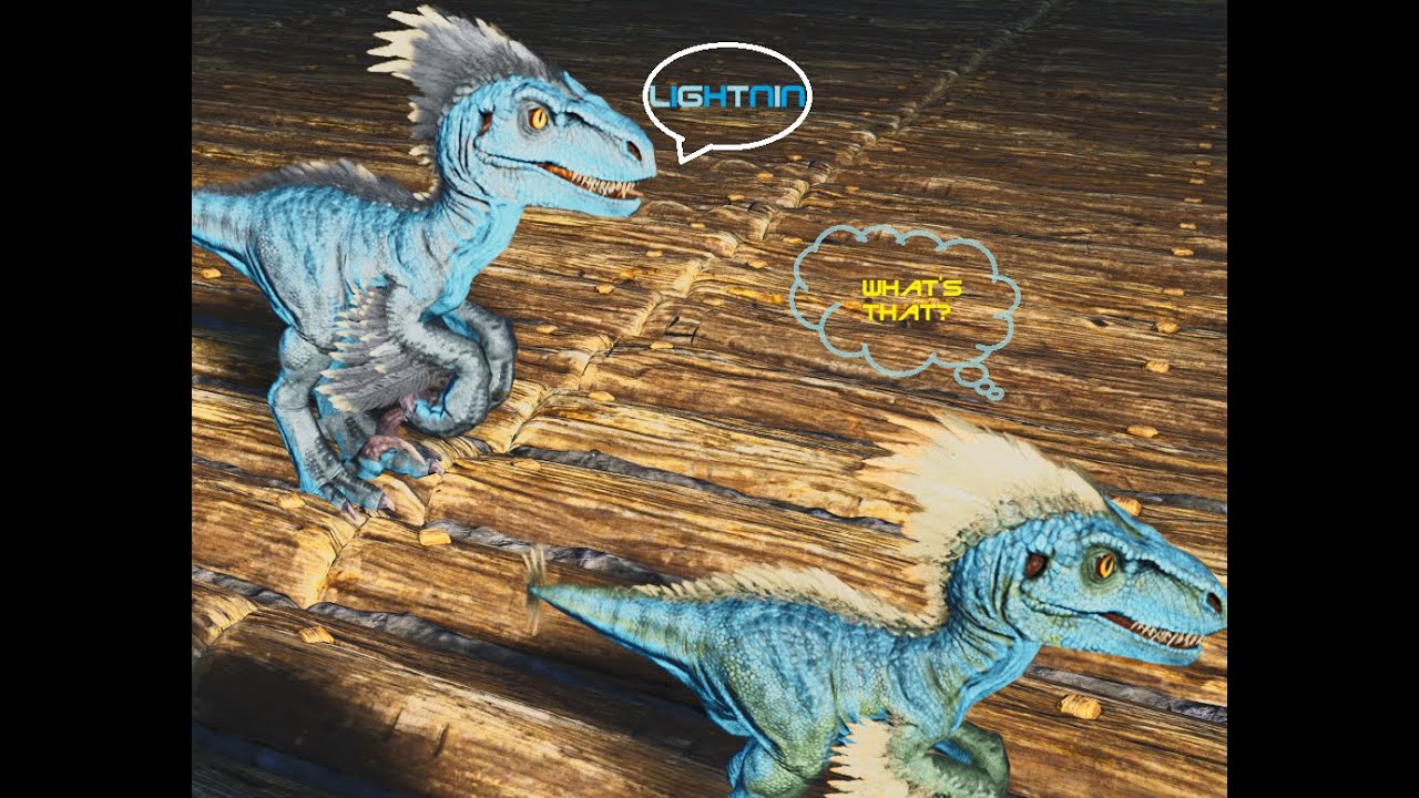 Raising Raptors - YouTube