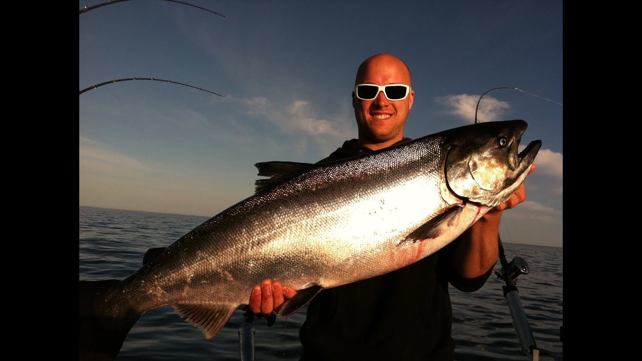 Fishing Salmon From Algoma, WI with (Kinn's Sport Fishing) - YouTube