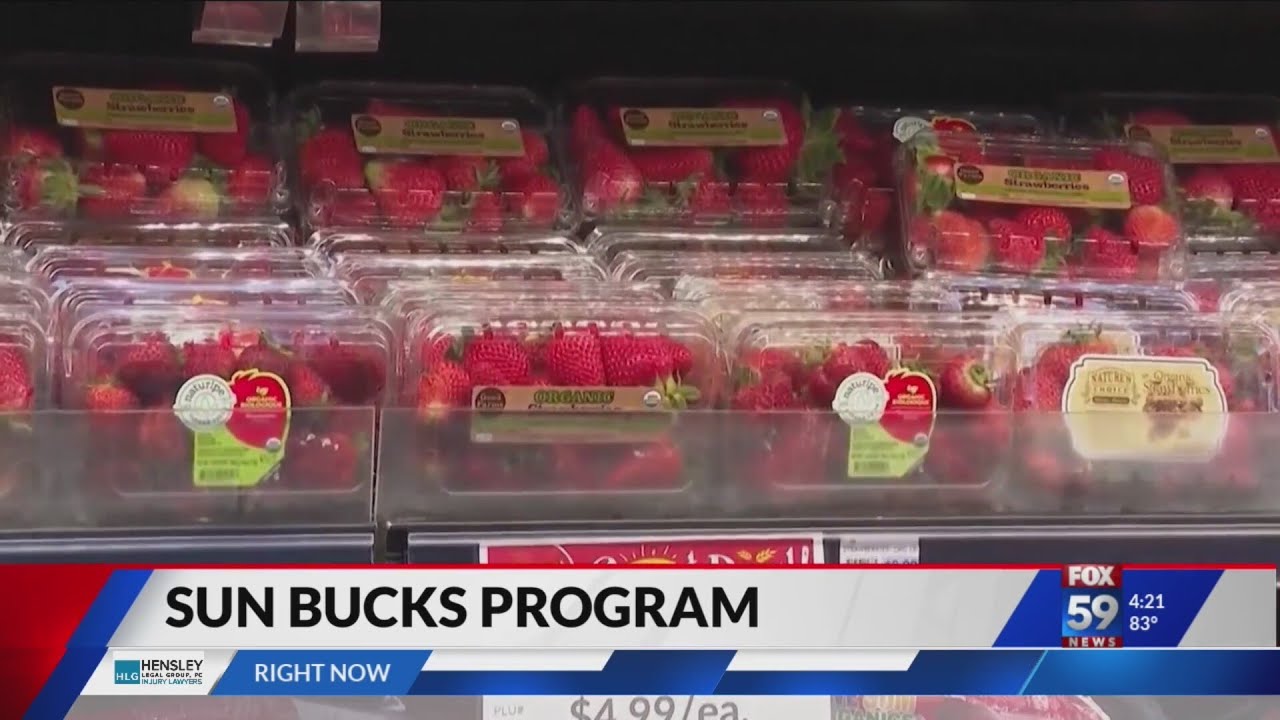 Sun bucks program - YouTube