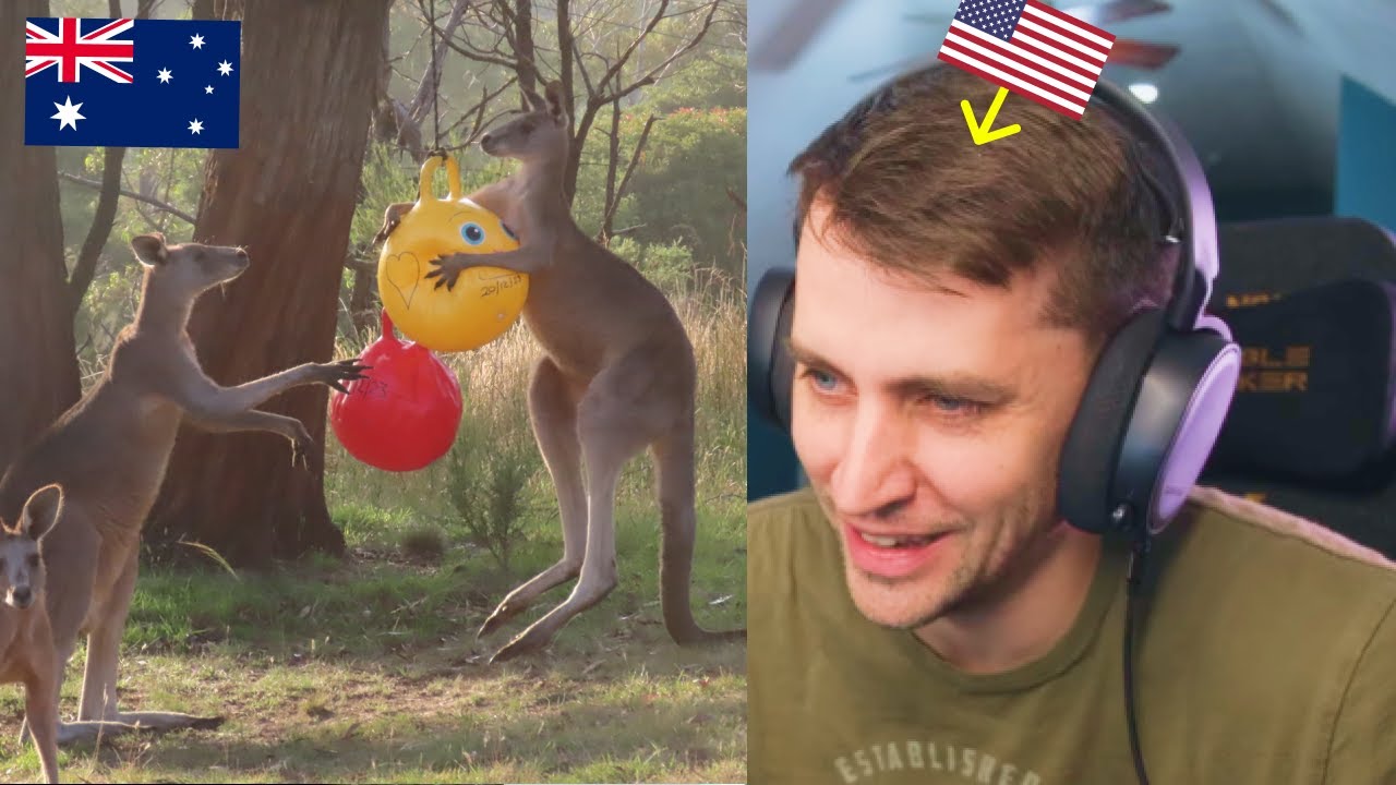 THIS WEEK IN AUSTRALIA [101] - YouTube