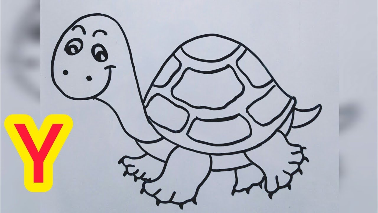 how to draw a tortoise by Y | how to draw a tortoise or turtle step by ...
