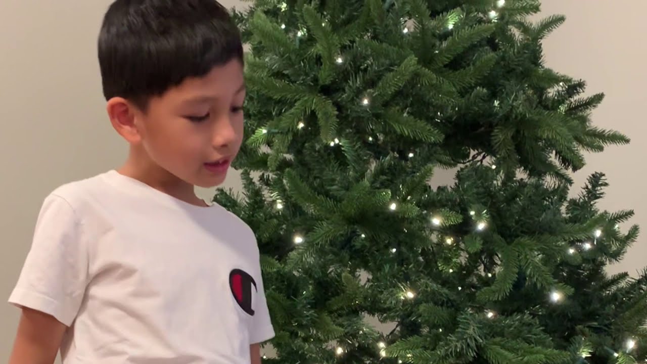 Decorating Our Christmas Tree π²π Youtube